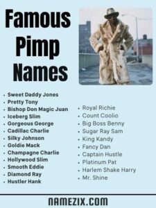 550 Hilarious Pimp Names: Funny, Flashy & Wild Ideas