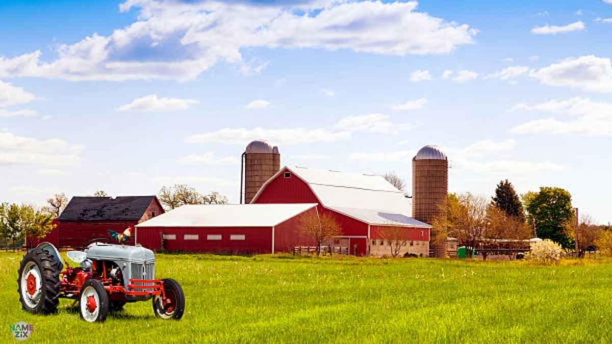 280+ Funny Farm Names That'll Make You Laugh Out Loud