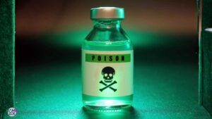 420+ Names That Mean Poison: Boy, Girl & Fantasy Name Ideas